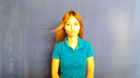 Lav Fsl Dataset Train Final 2 Computer Vision Dataset By Lav Final Fsl Dataset