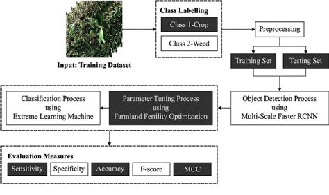 Figure 1 From Computer Vision And Deep Learning Enabled Weed Detection