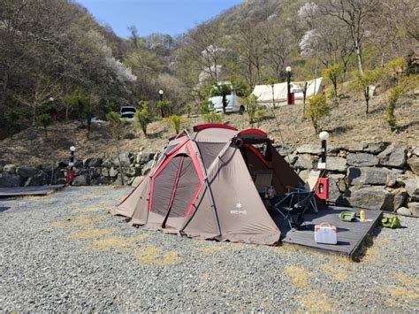 캠핑내돈내산 벚꽃캠핑 뿜뿜🌿 장태산 휴양림 선착순 자리지정 캠핑장🏕️ 대전 서구 알프스캠핑펜션 네이버 블로그