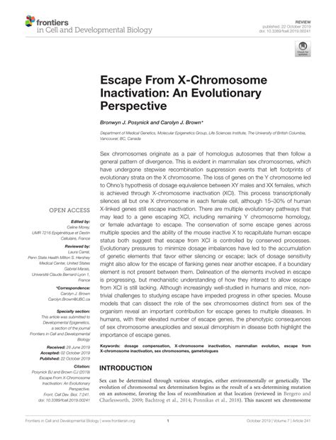 Pdf Escape From X Chromosome Inactivation An Evolutionary Perspective