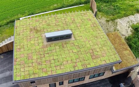 Support For Elevated Green Roof Systems