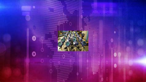 Fame Wika Net Worth And Salary Income Estimation Mar 2025 People Ai