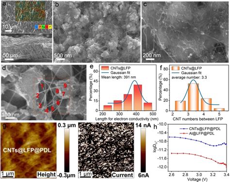 The Morphologies And Performances Of The Electrode A The Download Scientific Diagram