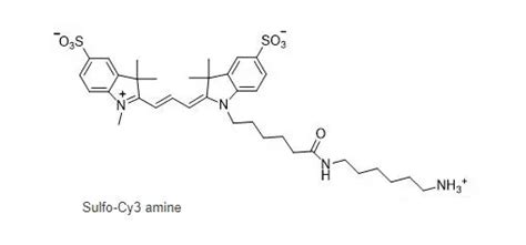 磺基 Cy3 氨基 Sulfo Cy3 Nh2 Sulfo Cyanine3 Amine 花菁染料cy3标记氨基 Udp糖丨mof丨金属有机