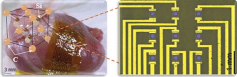 Flexible Electrode Arrays Based On A Wide Bandgap Semiconductors For