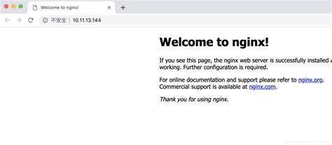 Docker里安装nginx容器、同时配置多个nginx容器liunx安装了docker Nginx可以再安装一个nginx吗 Csdn博客