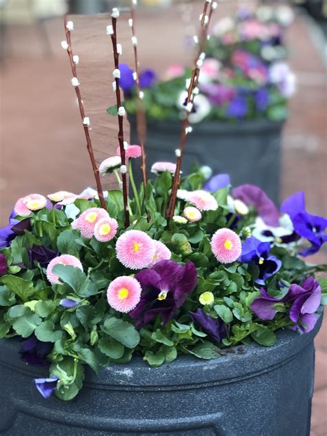 Container Gardens Short Hills New Jersey Artofit