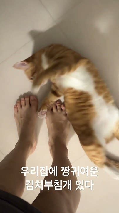 우리집에만 있는 엄청 귀여운 김치부침개 Youtube