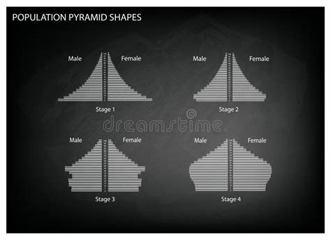 Four Types Of Population Pyramids On Chalkboard Background Stock Vector
