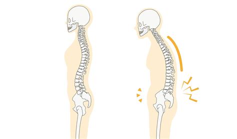 【ぽっこりお腹に長年悩んでいませんか？】これで解消！理学療法士が教える骨盤底筋群トレーニング ヨガジャーナルオンライン