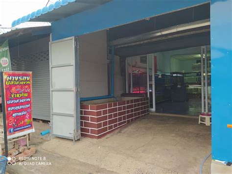 นางรองปลาสวยงาม ร้านนางรองปลาสวยงาม ยินดีต้อนรับค่ะ