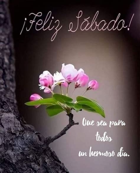 Pin de lizagr en Sábado Saludos sábado Buenos días saludos Saludos de buenos dias
