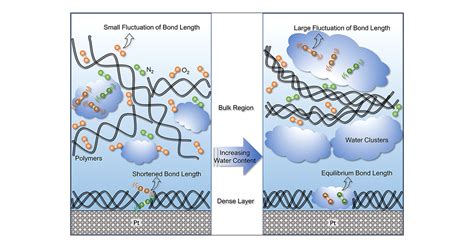 Innovative Insight Into O N Permeation Behavior Through An Ionomer Film In Cathode Catalyst