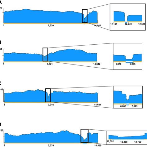 sequence coverage analysis to investigate if read coverage was the
