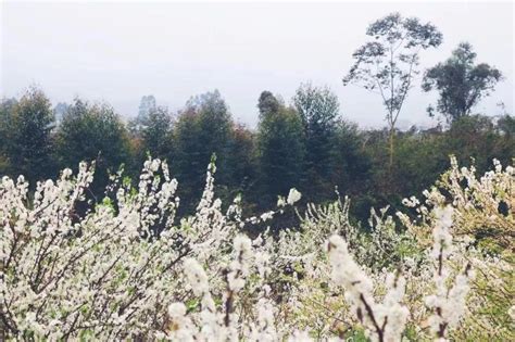 长泰马洋溪正在向你发出邀请 漳州旅游网