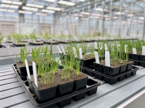 Jacqueline Heard On Linkedin Agtech Sustainability Planthealth