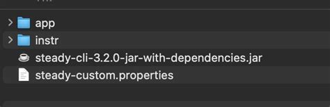 Getting The Following Error While Trying To Run Steady On Steady Cli