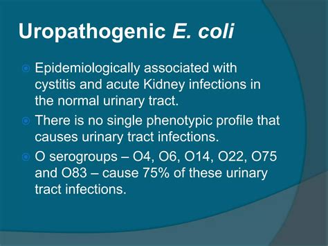 O Antigens Escherichia Coli Ppt