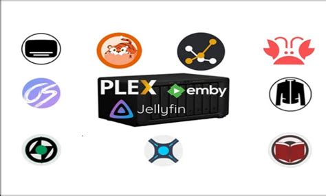 Install And Configure Plex Sonarr Radarr Emby Jellyfin On Your Media Server By Kelvinbamms