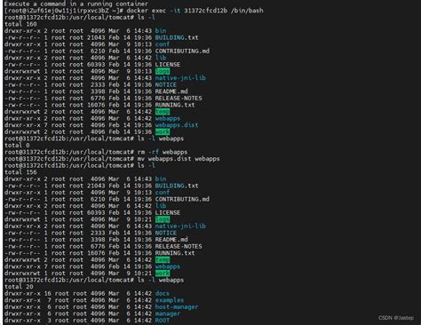 Docker Tomcat Tomcat Docker Csdn