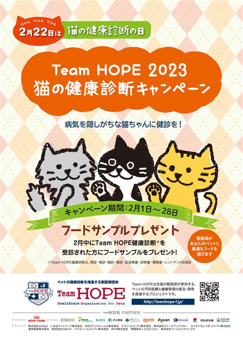 2月22日 にゃんにゃんにゃん は「猫の健康診断の日」 Team Hopeにて猫の健康診断キャンペーン実施中！ ～猫の健康診断 受診体験記