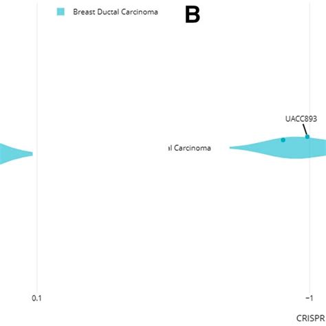 depmap analysis of the dependency of ductal breast cancer cell lines in