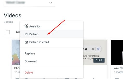 How To Hide Controls On Vimeo Embedded Video With Vimeo Logo Nst Web Creation