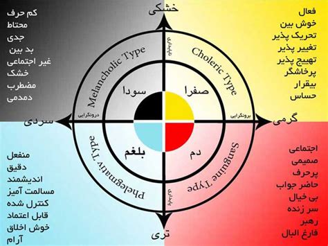 منظور از طبع گرم چیست؟ کدام غذاها و داروهای گیاهی طبع گرم دارند؟ سالم
