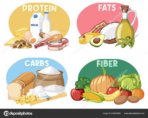 Main Food Groups Macronutrients Vector Illustration Stock Vector By