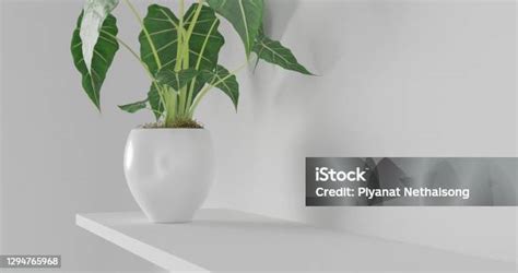 3d 렌더링 흰색 테이블 쇼케이스와 자연 창 조명 벽 배경에 빈 선반의 전면 보기 최소한의 개념을 보여주는 배경 선반의 표시