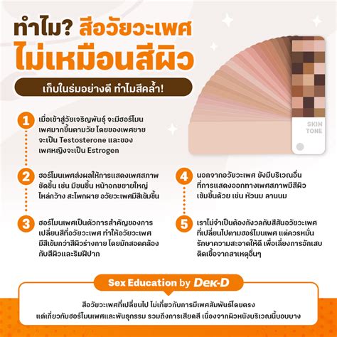 Dekdsexeducation ไขข้อสงสัย Dek D Com เด็กดีดอทคอม
