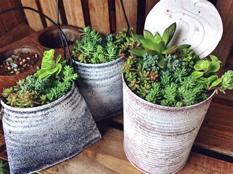 多肉植物の画像 By Yuinkoさん｜リメ缶とリメ缶 手作りリメイク缶と多肉植物寄せ植えと可愛い多肉ちゃん ︎とリメ缶バッグ 2015月8