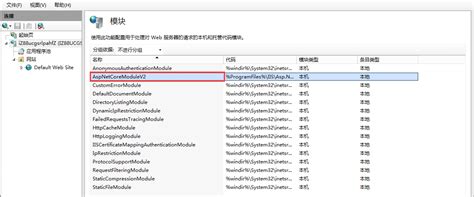 Aspnet Core教程：aspnet Core 程序部署到windows系统 Net开发菜鸟 博客园