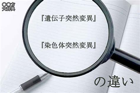 『遺伝子突然変異』と『染色体突然変異』の意味と違いとは？分かりやすく講義 まるまる方大辞典