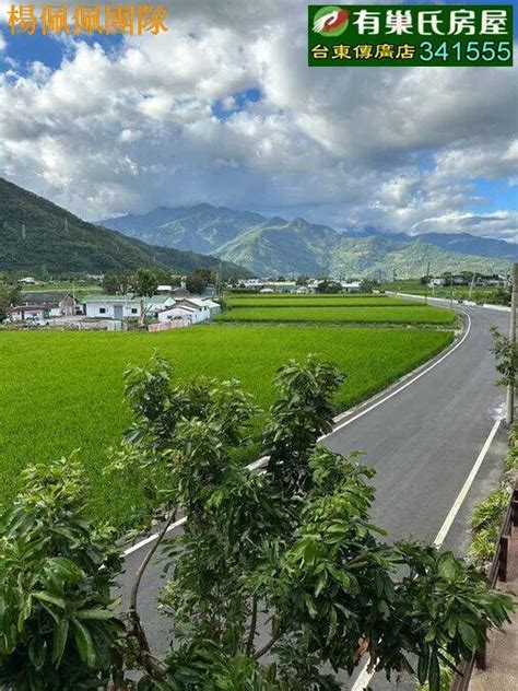 Yes319房屋市集 台灣319鄉 一網買進關山北歐地標渡假民宿 ~ 總價：250000萬 ~ 台東縣關山鎮忠慶