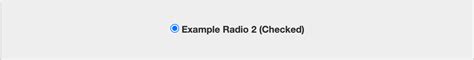 An Exploration And Easy Guide On Bootstrap Radio Button Blogs