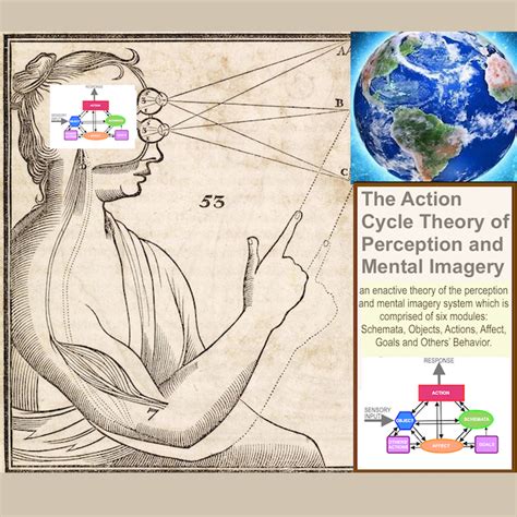 The Action Cycle Theory Of Perception And Mental Imagery Curious