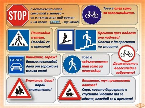 8 Движение на улицата ОС Анубис В П
