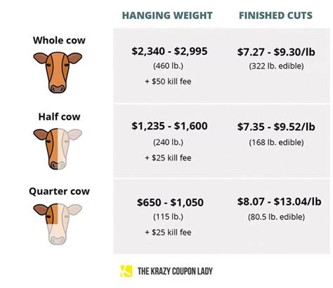 How Much Does A Cow Cost Buy A Cow Beef Cow Beef Cuts