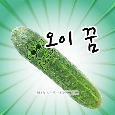 오이 꿈해몽 태몽 먹는 따는 큰오이꿈 등
