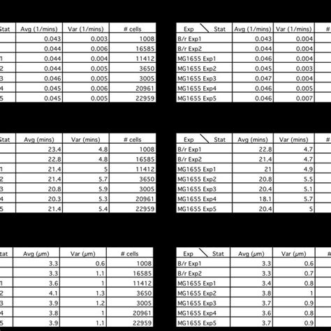 The Mother Machine And High Throughput Observation Of The Mother Download Scientific