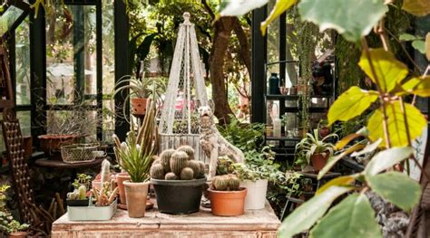 How To Control Humidity In A Greenhouse