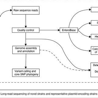 Study Sample Processing Flow Diagram Download Scientific Diagram