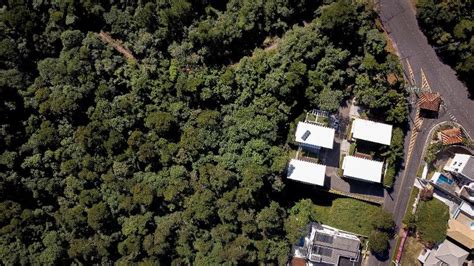 Moradores De Carapicuíba Temem Perder Trecho De Mata Atlântica Por Obra