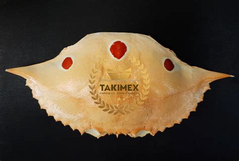 Crab Shell High Quality Dried Crab Shell For Foodstuff From Vietnam