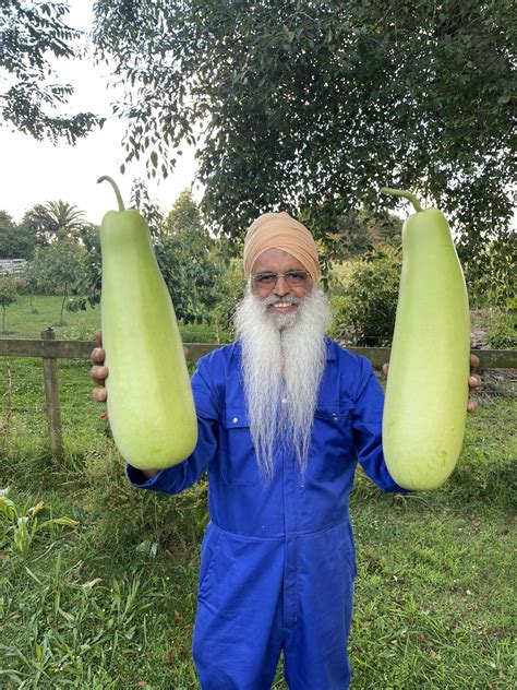 Organic Lauki Large Size Kings Eat Organics