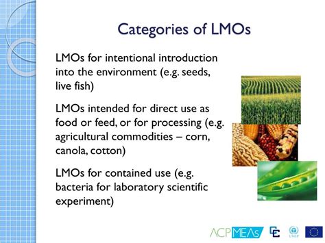 Ppt Understanding Biosafety Powerpoint Presentation Free Download