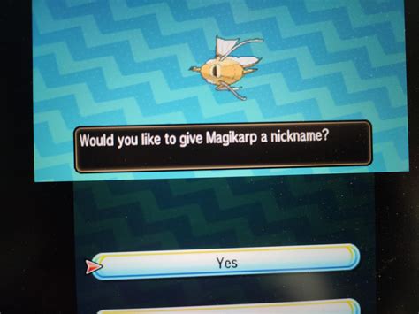 Caught Shiny Magikarp At 272 Sos R Pokemonsunmoon