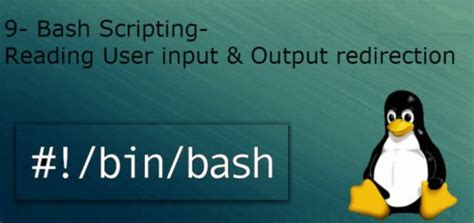 9 Bash Scripting Taking Users Input Using Read Command In Linux