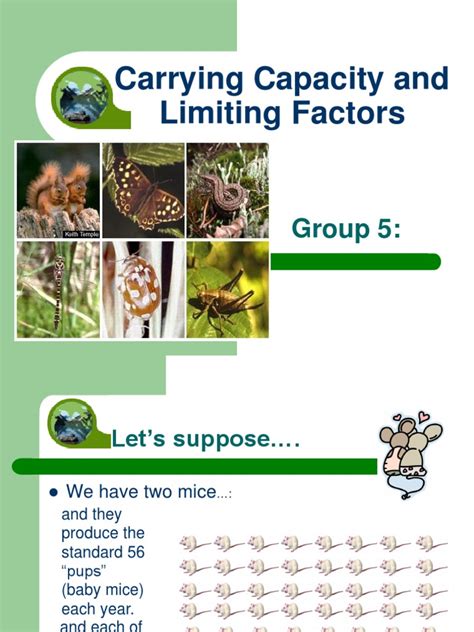 Carrying Capacity And Limiting Factors Pdf Predation Habitat